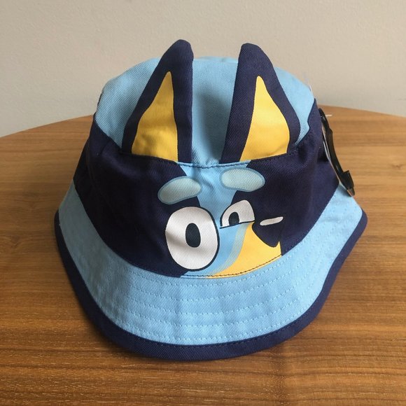 Accessories | Bluey Kids Hat | Poshmark